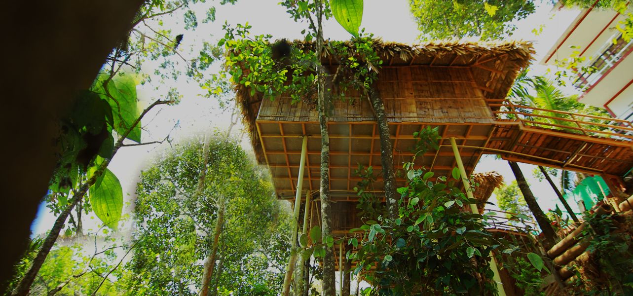Best Treehouse Resort in Munnar, Idukki, Kerala – Green Trees Munnar