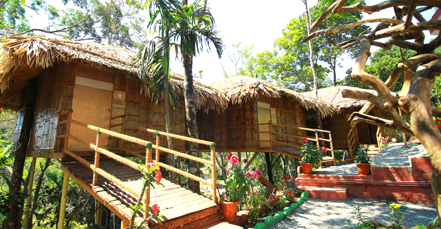 Best Treehouse Resort in Munnar, Idukki, Kerala – Green Trees Munnar